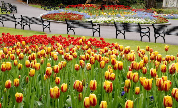 6 Works of Art to Celebrate Spring | The Female Gaze